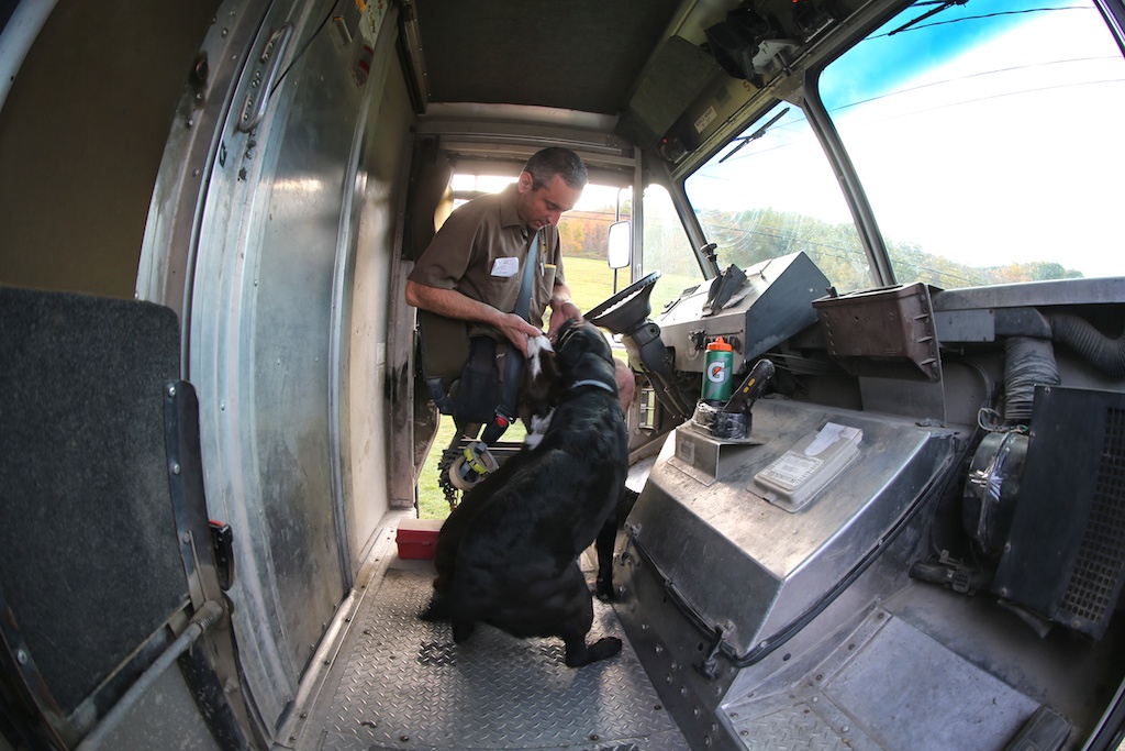 Connection: World's Best UPS Driver - Bedlam Farm