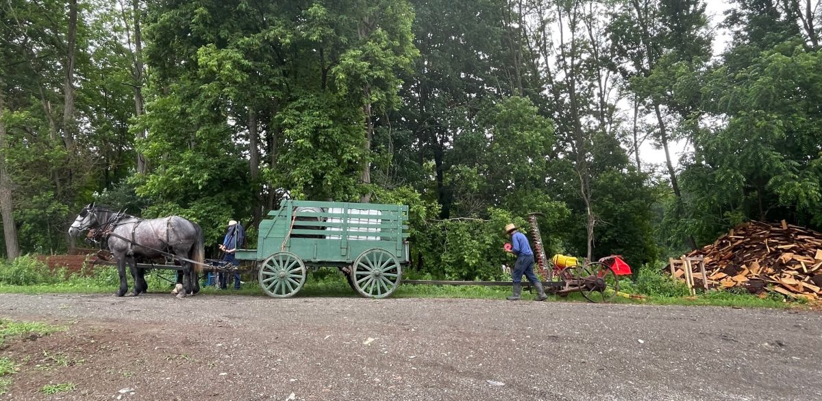 The Amish And Their Long Struggle With The Modern World - Bedlam Farm