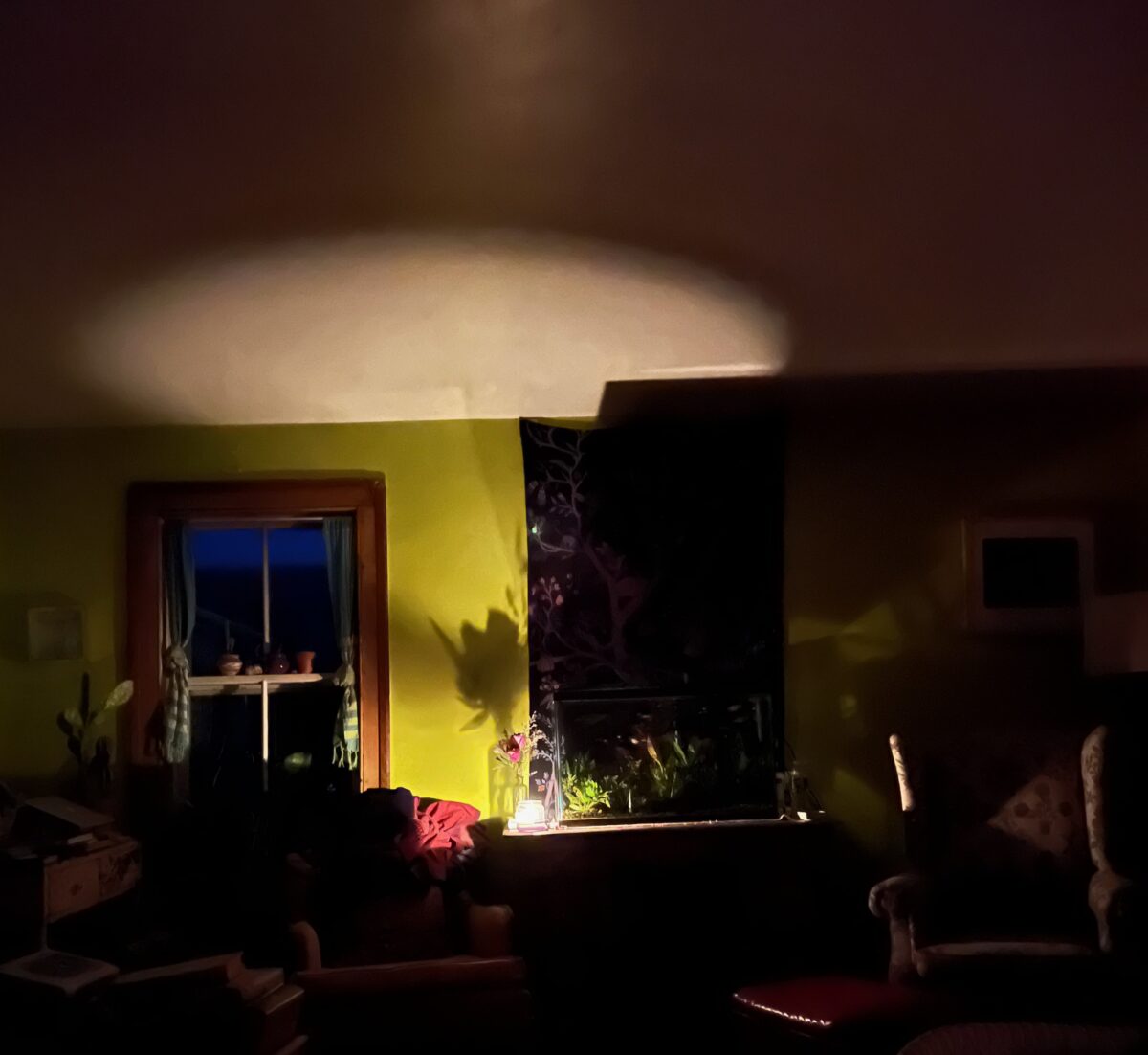 Power Outage. Beginning To End - Bedlam Farm