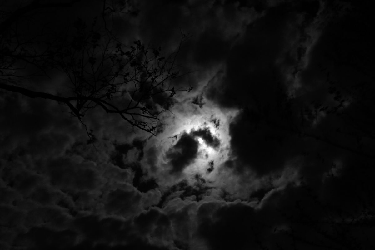 Photo Journal, May 14, My Life In Pictures: The Midnight Sky: In Search ...