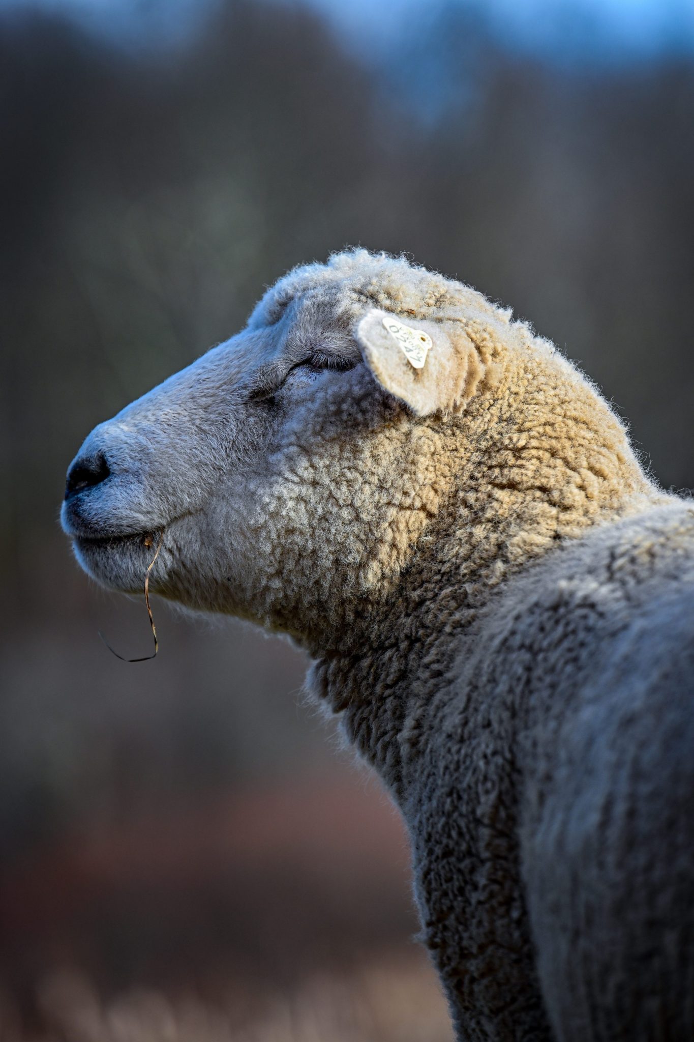 Angie's Photographs, A New Column On The Blog. Here's The First One ...