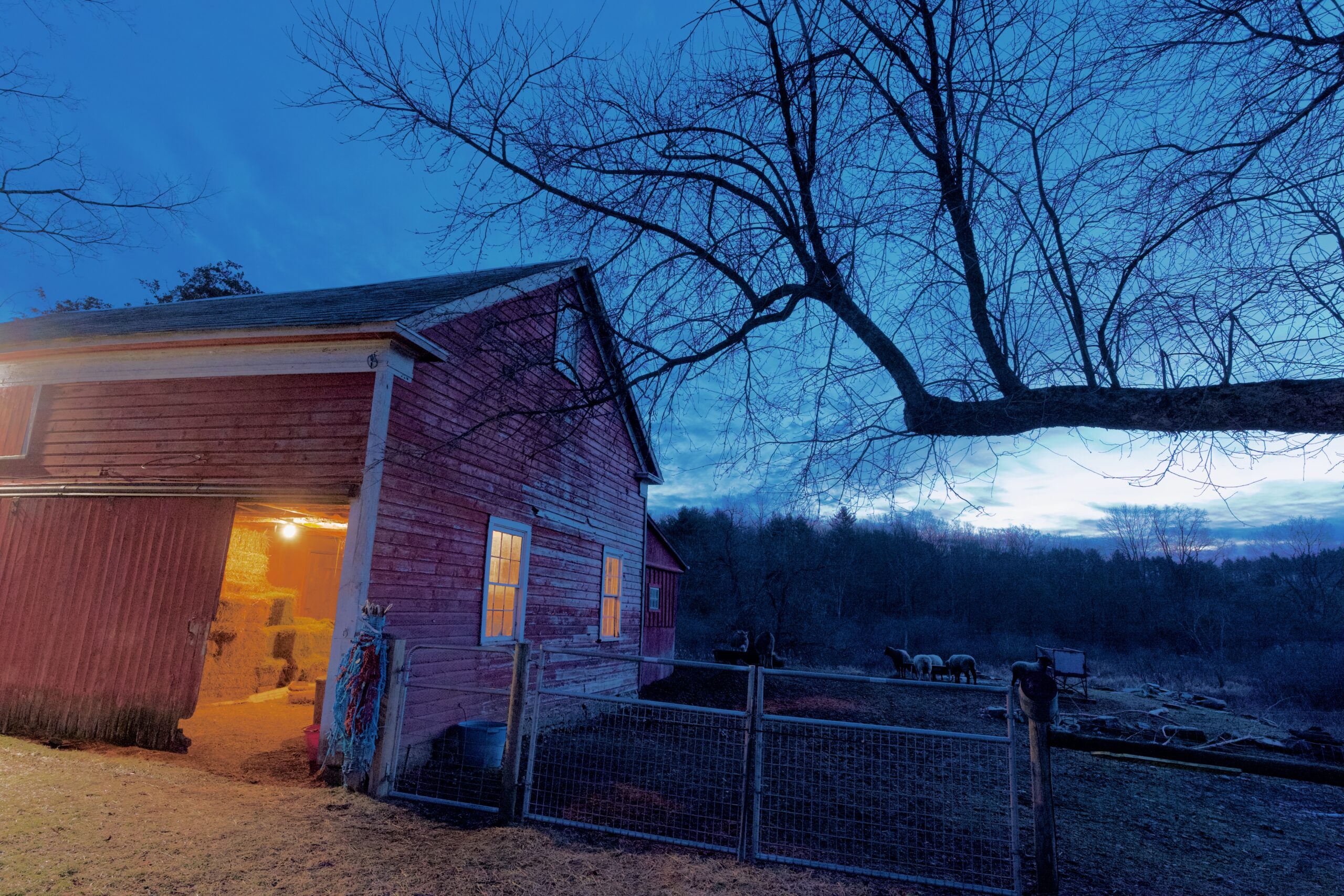 Pastoral Morning, Sunrise, The Beauty Of The Dark, Life In Nature ...