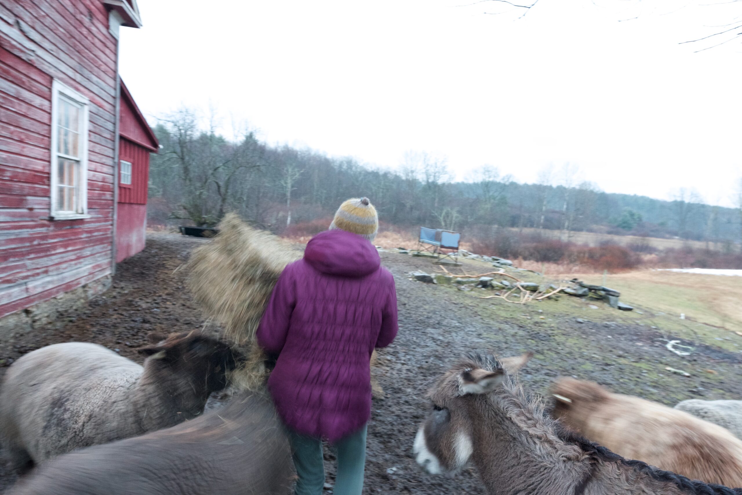 Pastoral Morning, Rain, Rain, Then Snow, Snow, Then Ice, Ice. Beauty ...