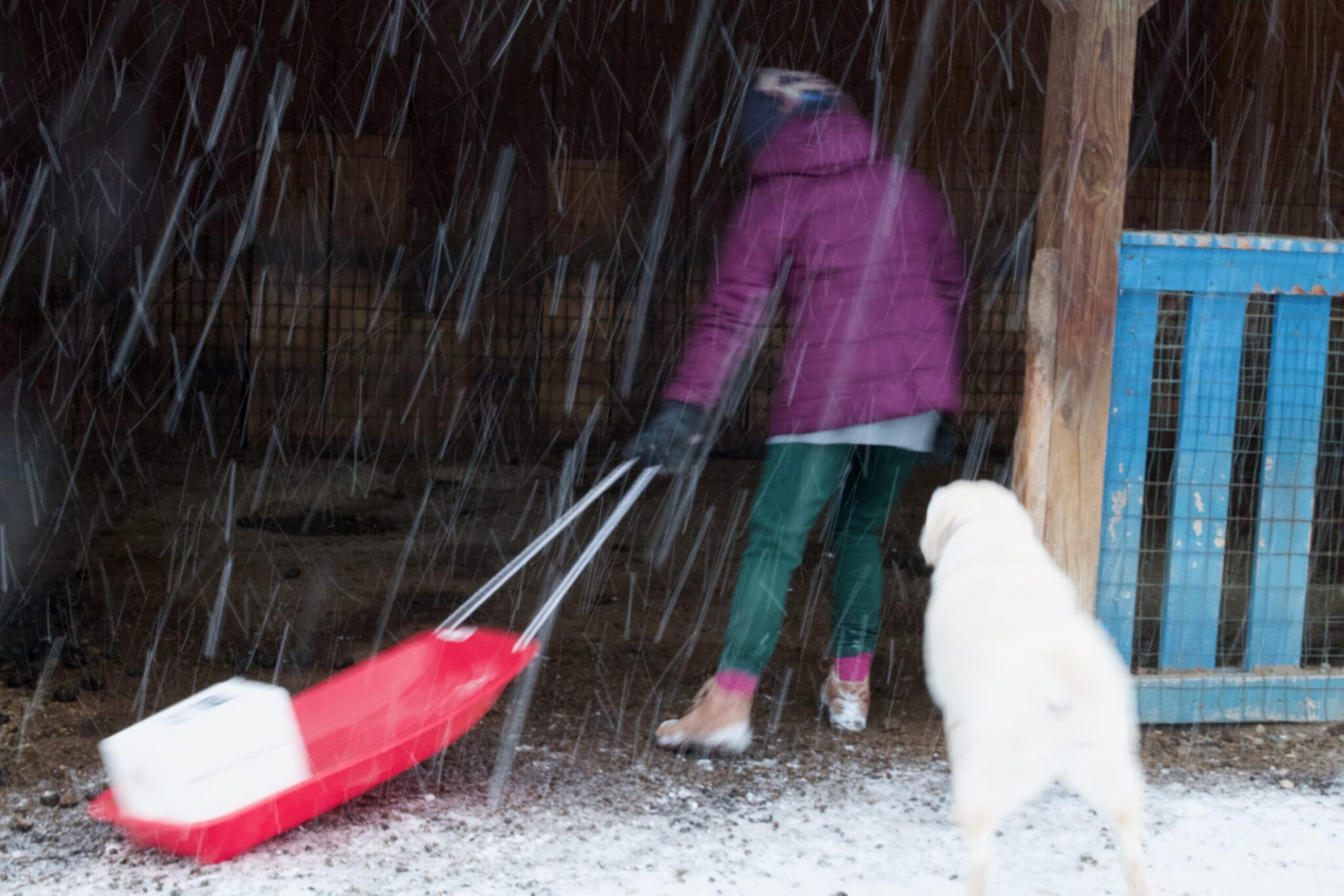 Good Monday Morning Video From Maria -9 This Cold And Snow Morning ...