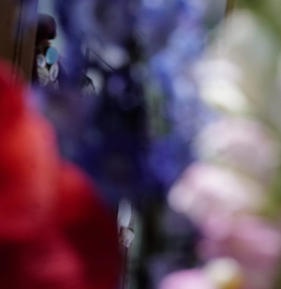 Red White And Blue - 1 - Bedlam Farm