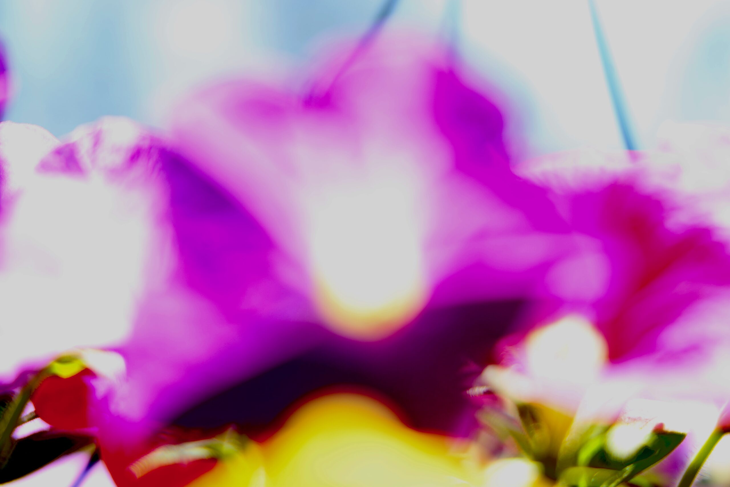 Flower Art, Going To The Next Level. Thanks For Coming Along. - Bedlam Farm