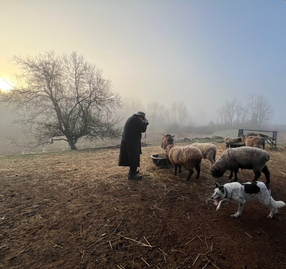 Photo Journal: Two Picture All Alone. Two Images. - Bedlam Farm