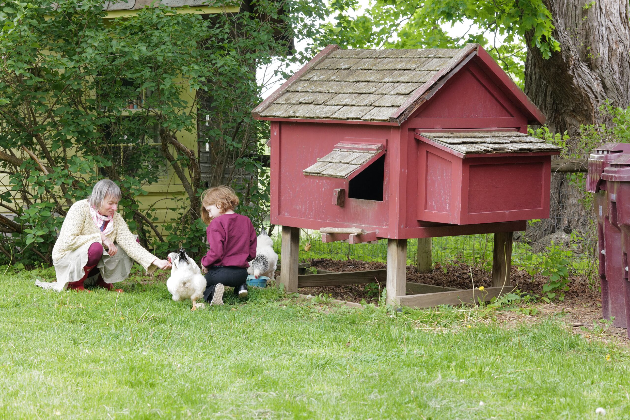 Bedlam Farm Blog Journal by Jon Katz