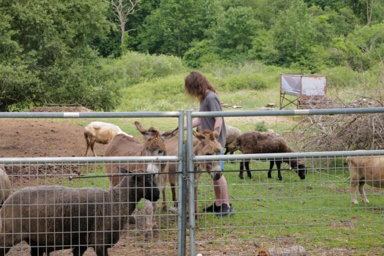 B 5 - 1 - Bedlam Farm