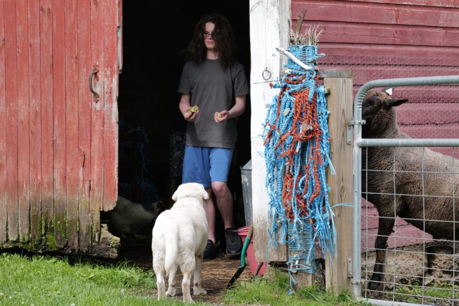 B and Barn - 1 - Bedlam Farm
