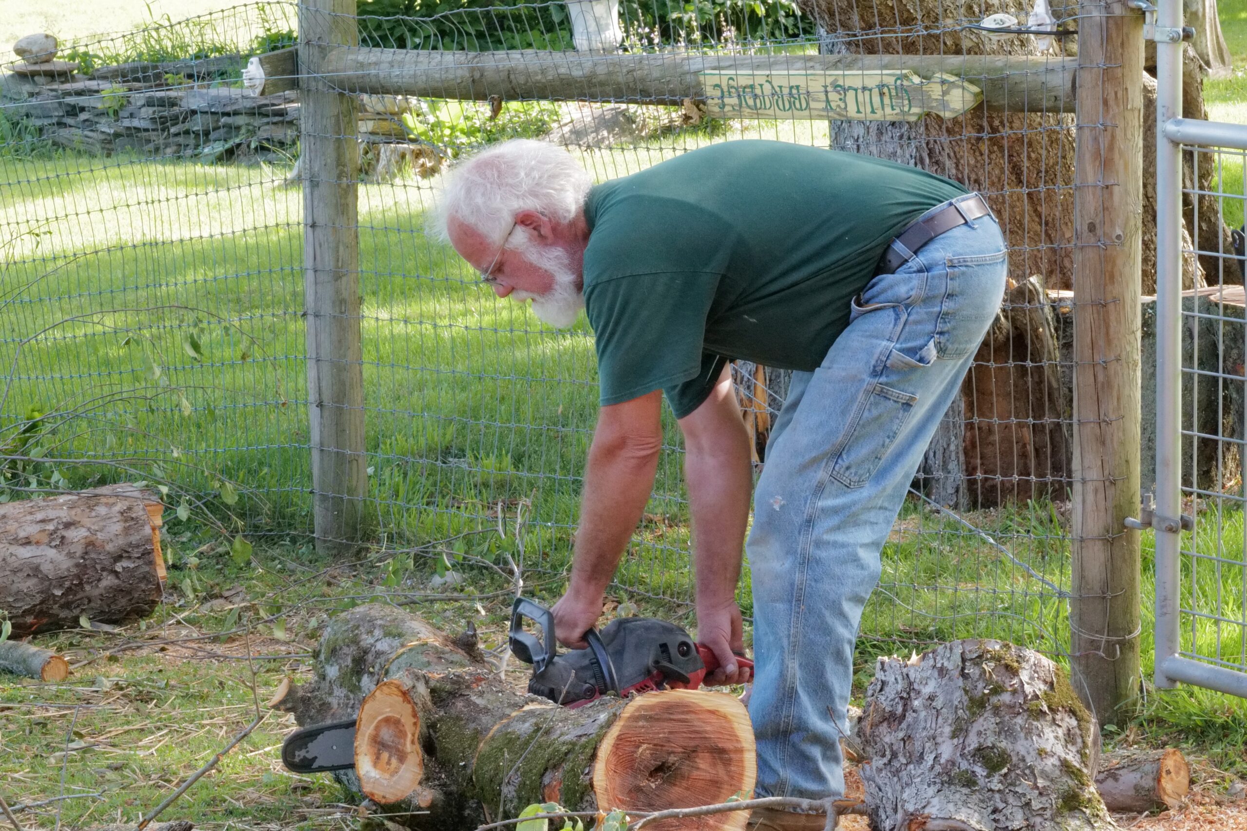 Heavy Tree Being Cut Up, A Friendship Deepens, A Camera Came Home ...