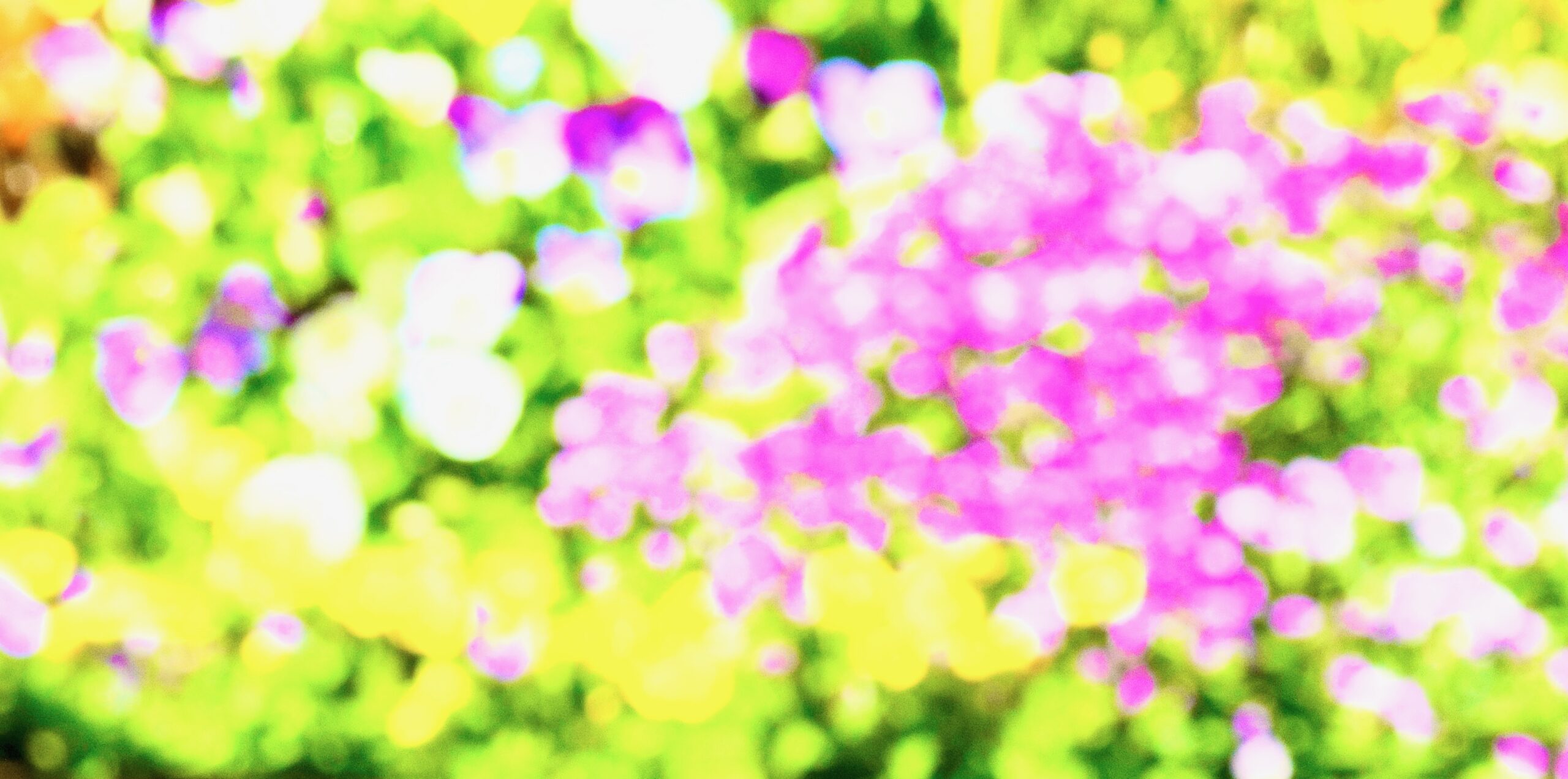 Flower Art, Tuesday, June 9, 2026, Good Medical News, Fun Color ...