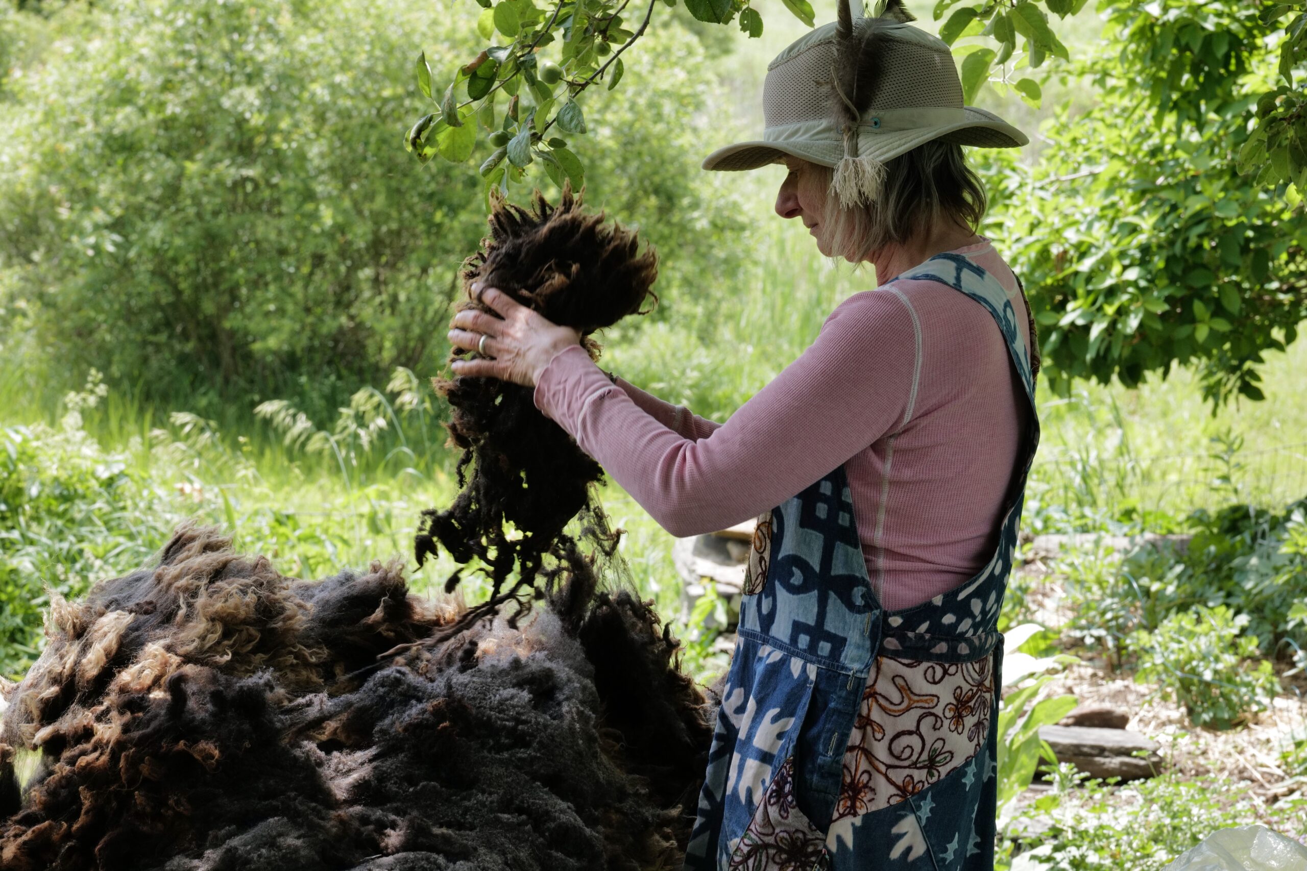 Skirting Time For The Sheep's Wool. Big Day At Bedlam - Bedlam Farm